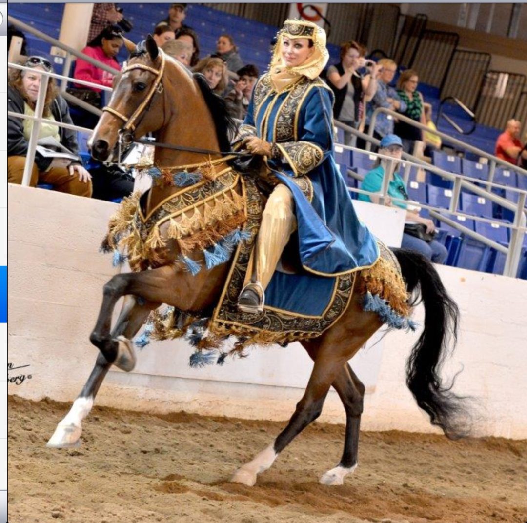 Gallery - California Arabian Costumes